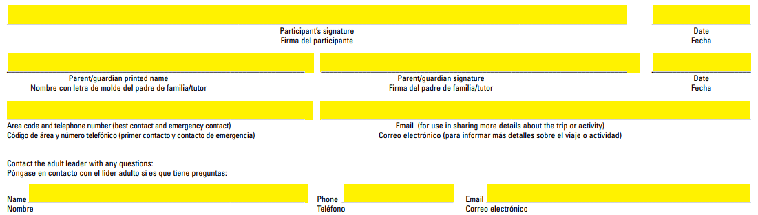 Free Boy Scouts of America (BSA) Activity Consent Form - PDF