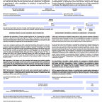 Free Consent Forms - PDF - Word