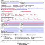 Free Background Check Authorization Template Form - PDF