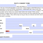 Free Consent Forms - PDF - Word