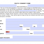Free Consent Forms - PDF - Word