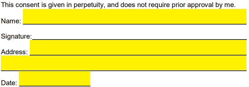 Free Video Consent Form - PDF